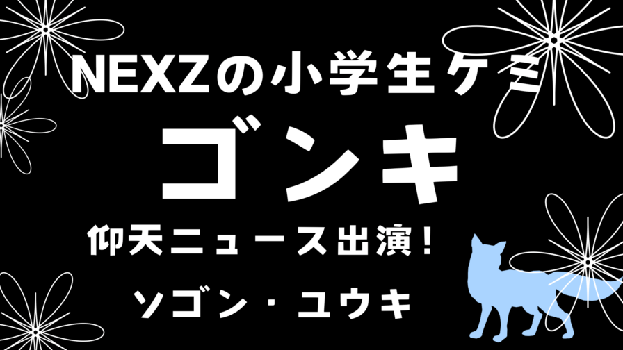 NEXZファンクラブ【NEX2Y】どっちがいい？チケットの優先度は？徹底比較！
