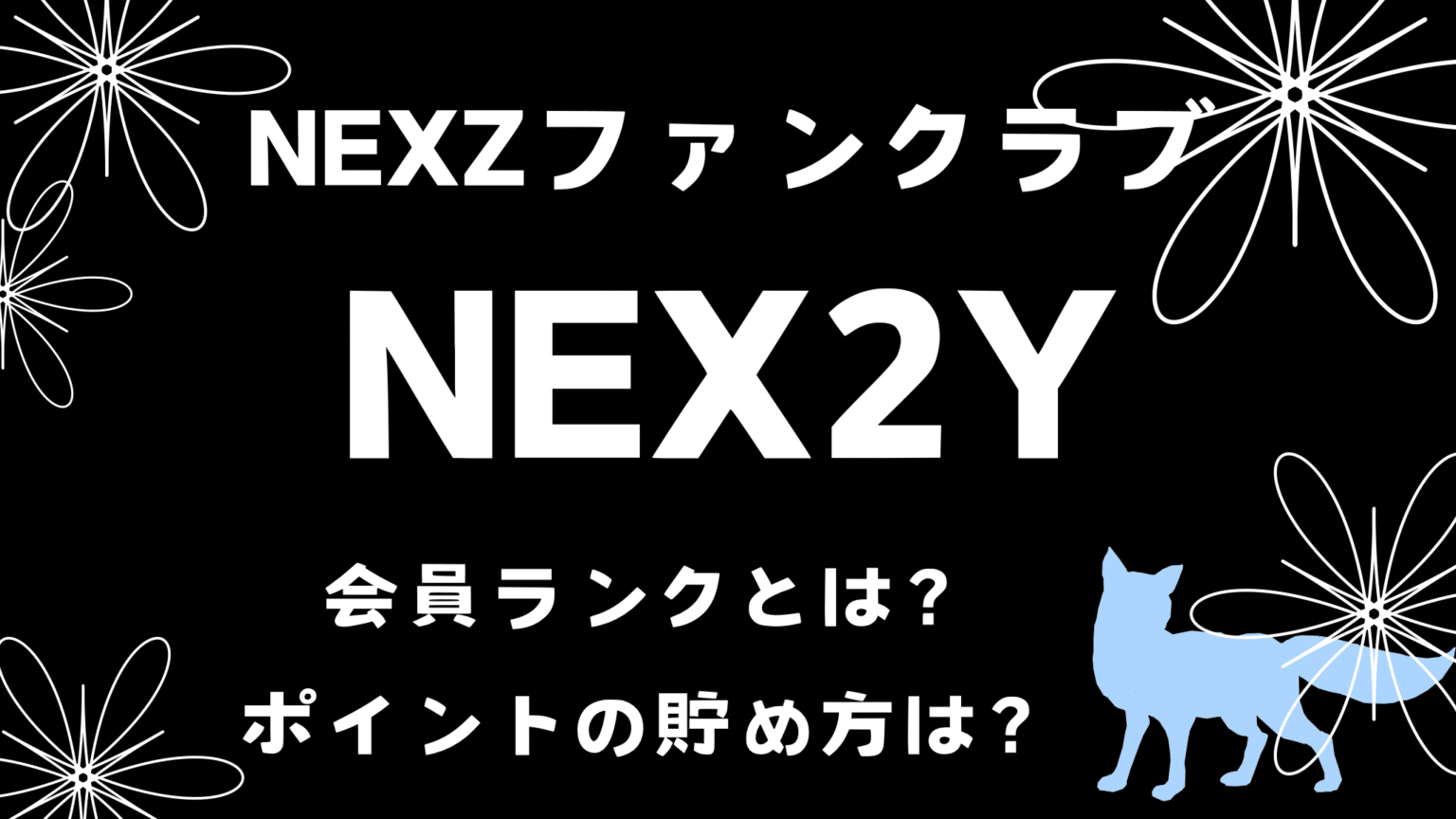 NEXZファンクラブ【NEX2Y】どっちがいい？チケットの優先度は？徹底比較！